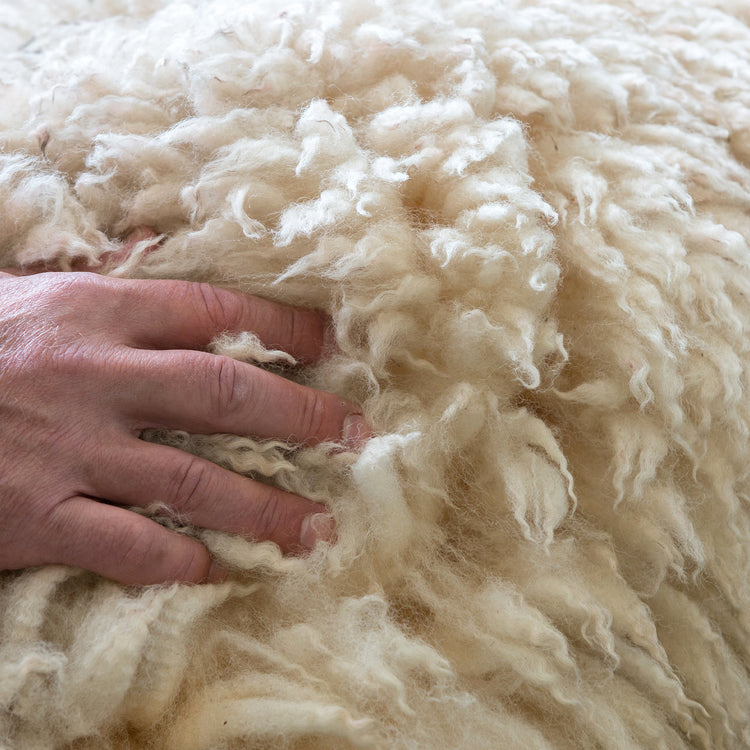 Merino Wool Clothing - Merino Wool T-Shirts – Merino Protect